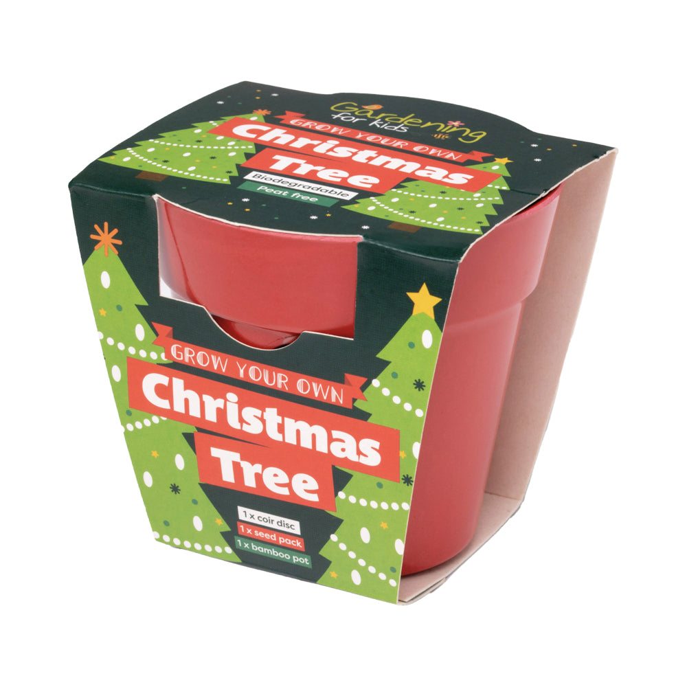Grow Your Own Christmas Tree Growing Kit – The Christmas Imaginarium