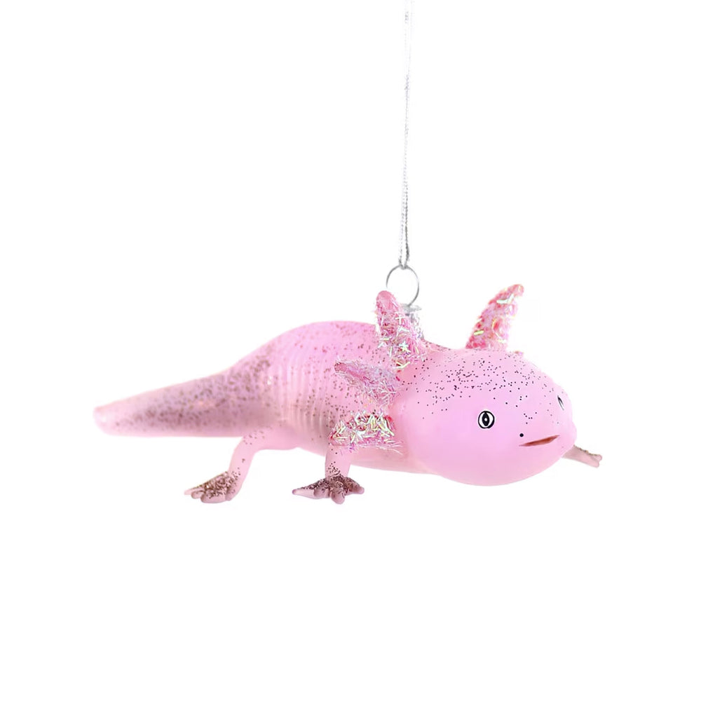 Glas Axolotl NT Labs Pro F Axolotl Adult Pellets 165g Axolotl Food